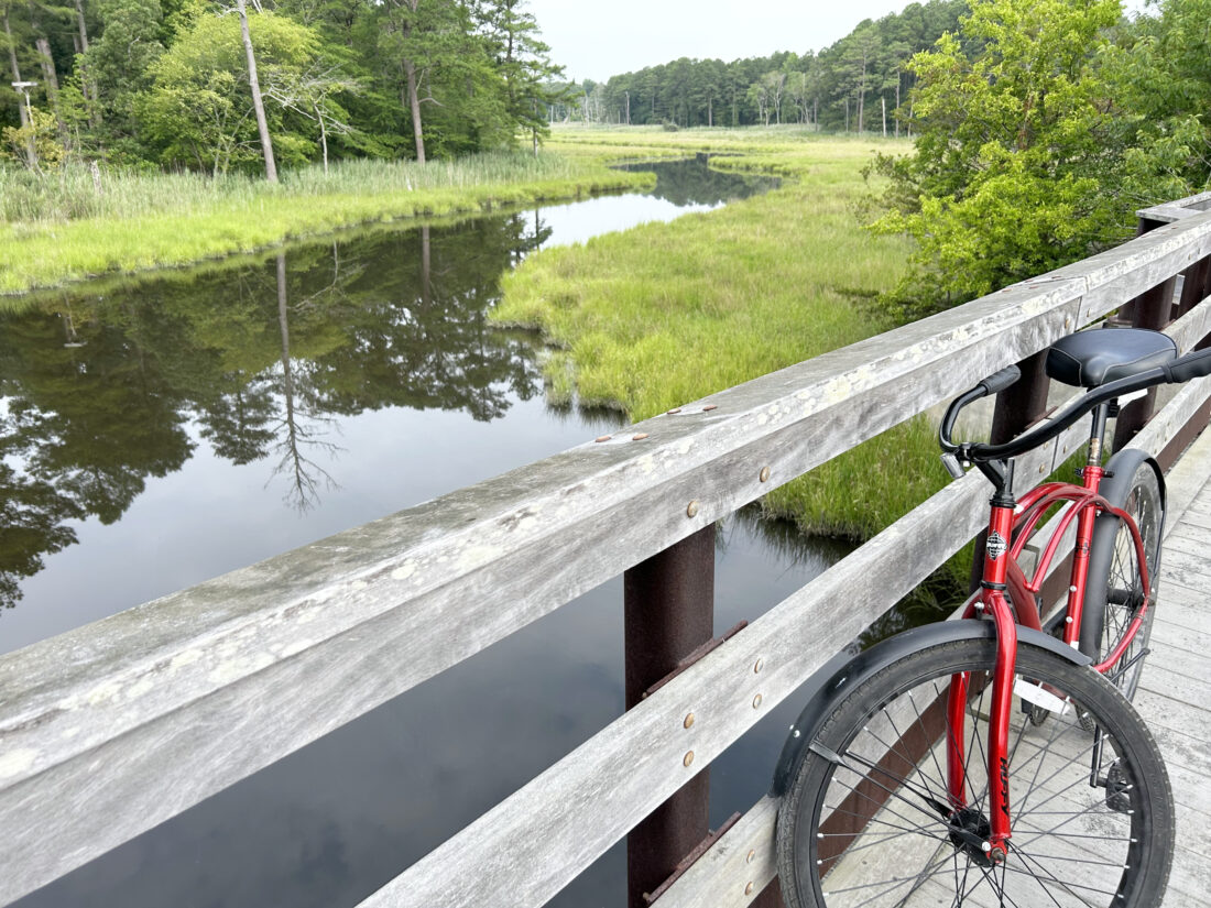 Adventures in Cape Henlopen State Park | News, Sports, Jobs - The Express